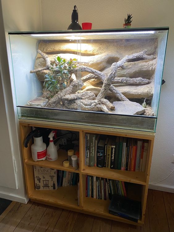 Terrarium inkl. Holzgestell abzugeben | Kaufen auf Ricardo