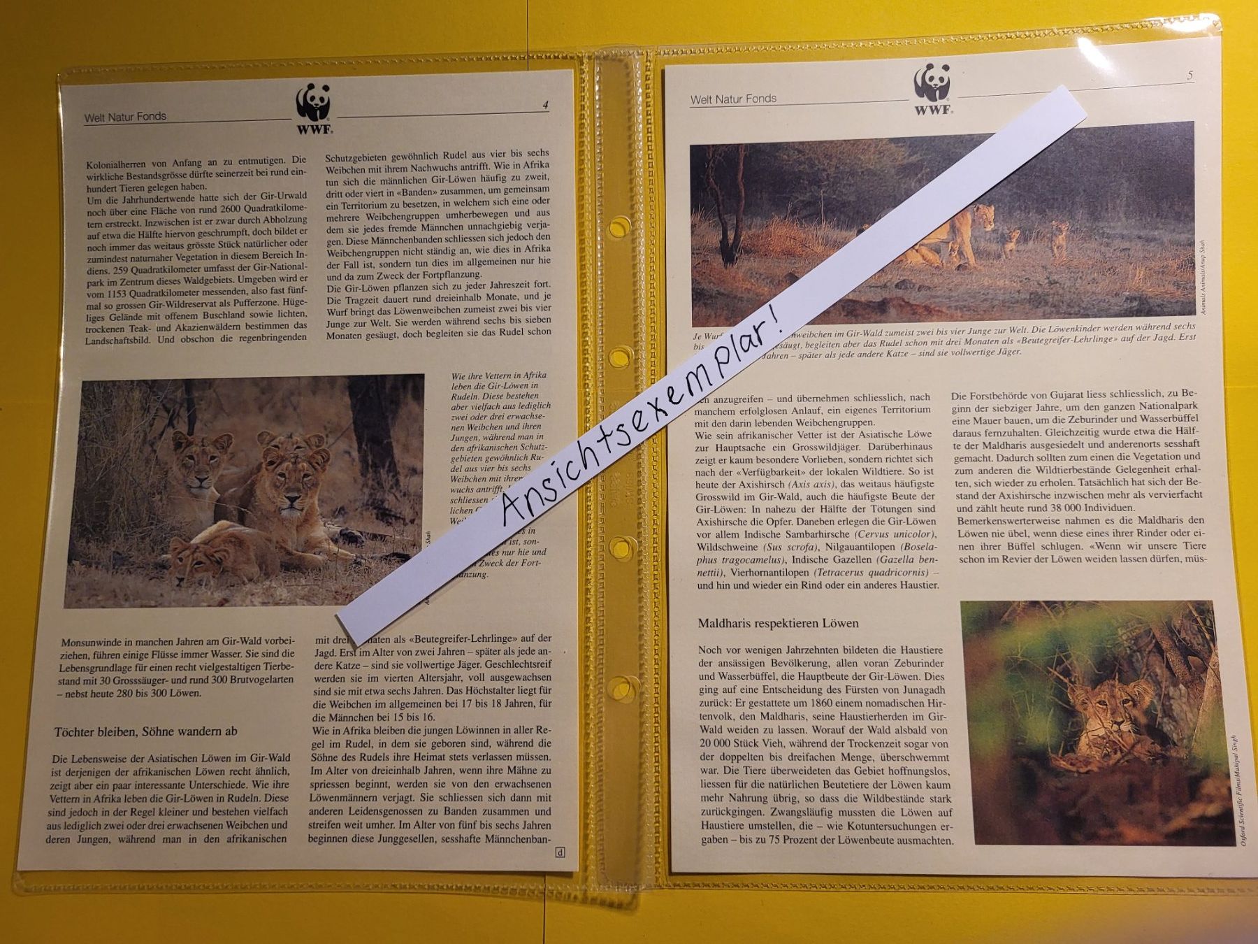 WWF 3 Kapitel Gros. Panda; Domini. Schlitzrüssle.; Bartgeier (Gebraucht ...