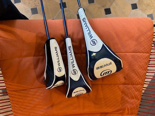 Golf woods Williams (Gebraucht) in Frauenfeld für CHF 100 – mit ...