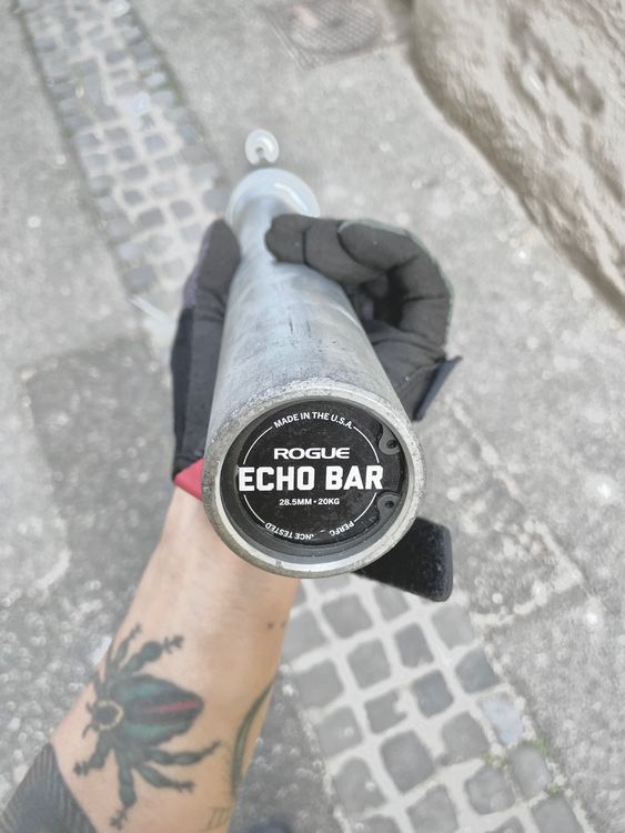 Rogue Echo Bar 20kg men | Kaufen auf Ricardo
