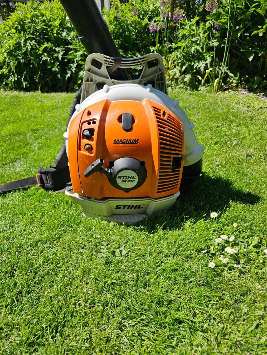 Stihl BR 600 Laubbläser Magnum - Top Zustand, wenig gebra... (Gebraucht) in Maienfeld für CHF ...