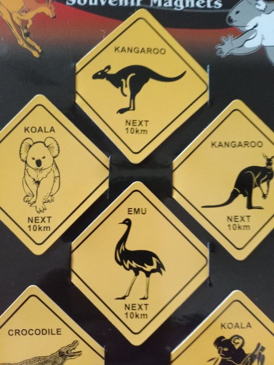 Australien Magnete Souvenir 🦘🇦🇺 Koala, Känguru, Emu, K... (Neu und ...