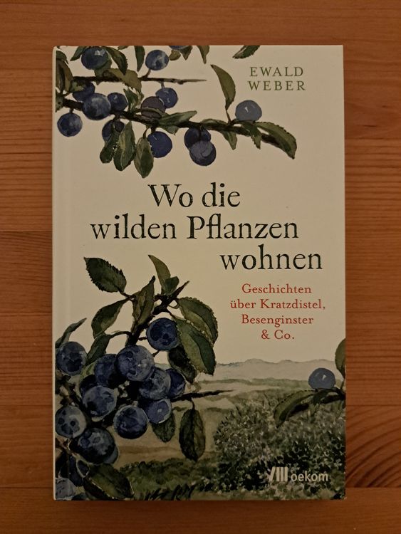 Buch: Wo die wilden Pflanzen wohnen - Top Zustand! (Neu (gemäss ...