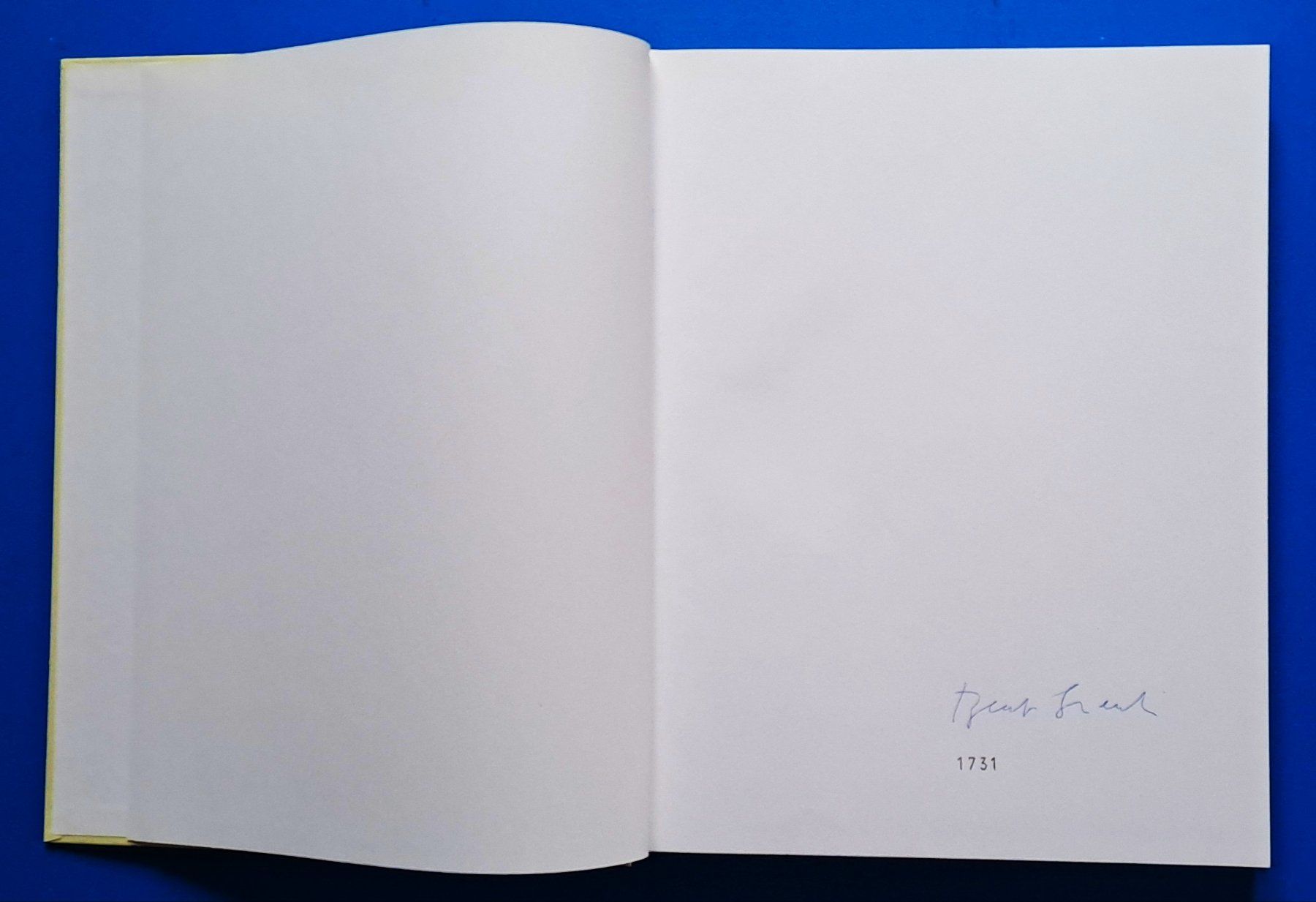 Beat Streuli: New York City. Limitierte, num. und sign. EA (Gebraucht ...