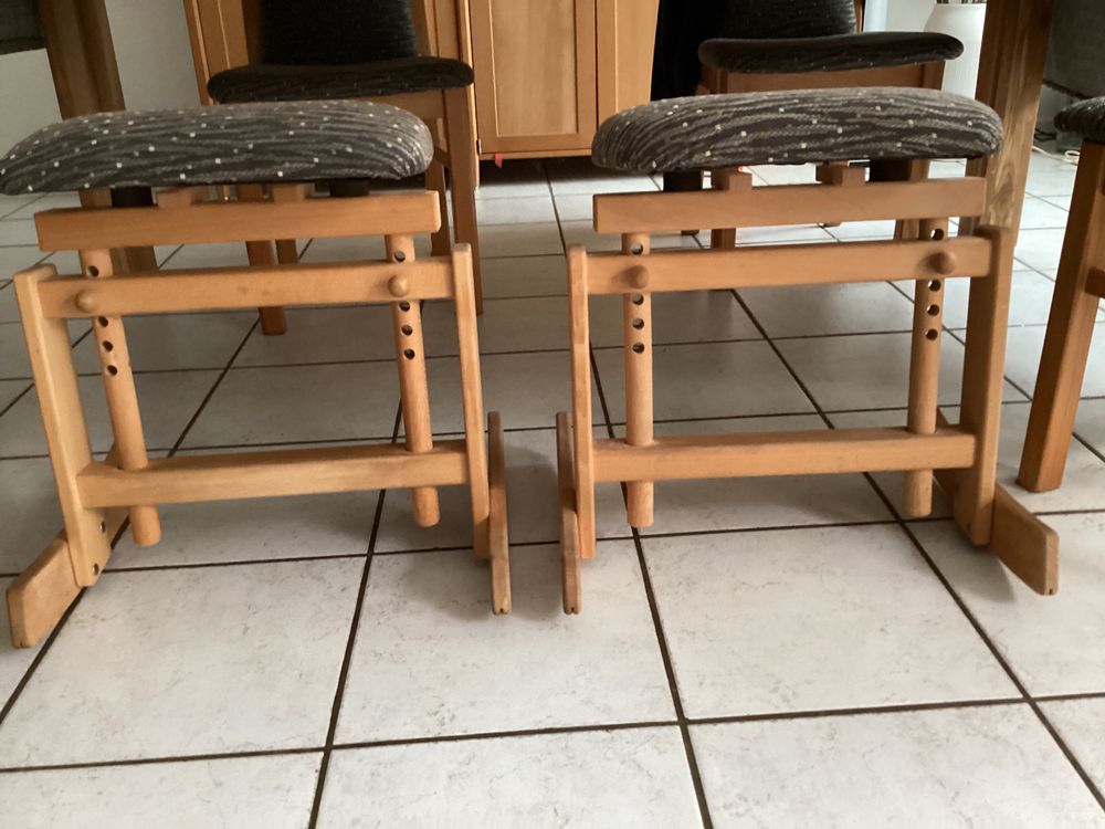 Fanello Swiss Swipp Stuhl 1 Stk. Schaukelstuhl Kippelstuhl (Gebraucht ...