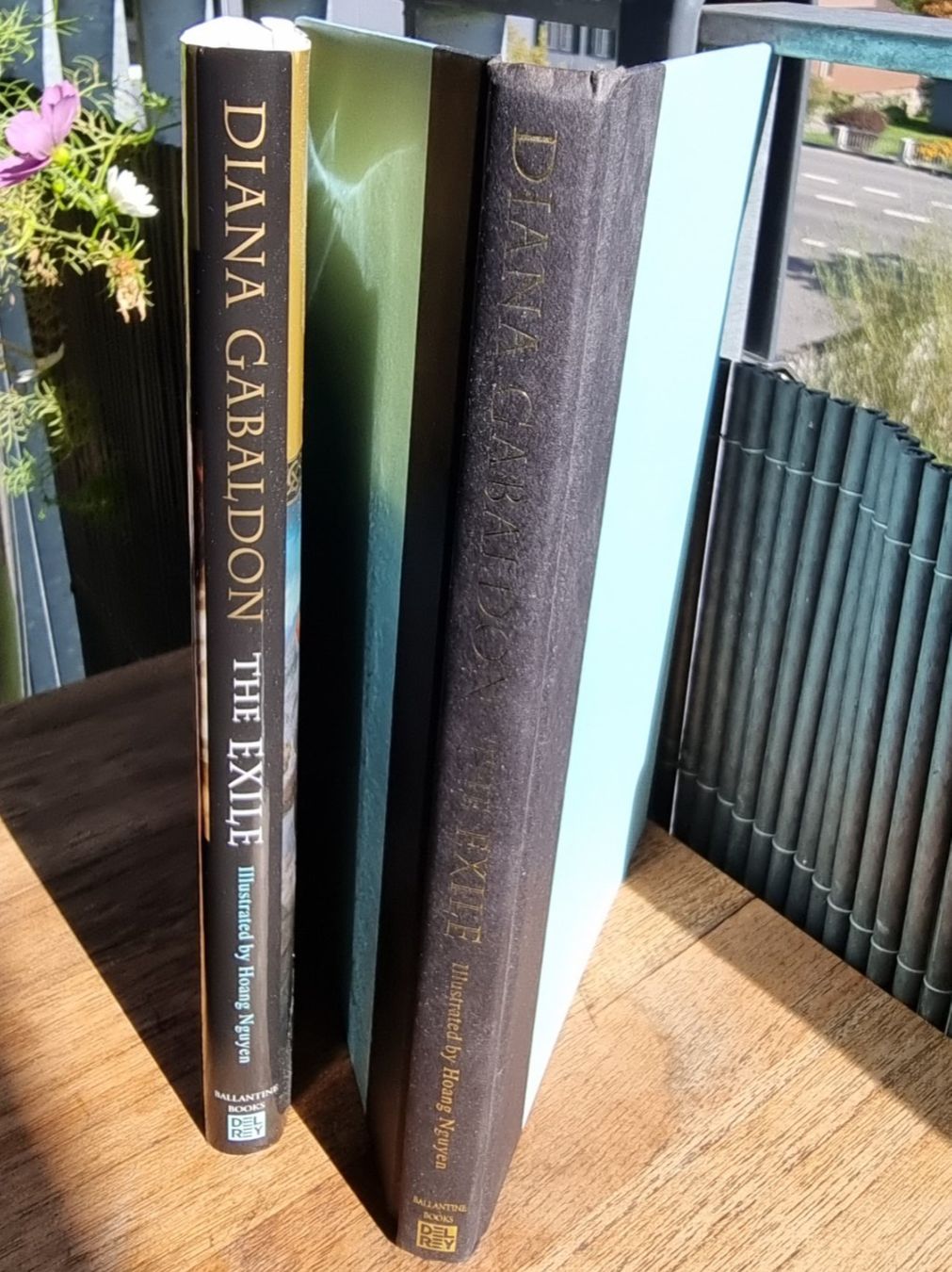 The Exile - Diana Gabaldon - English graphic novel outlander (Gebraucht ...