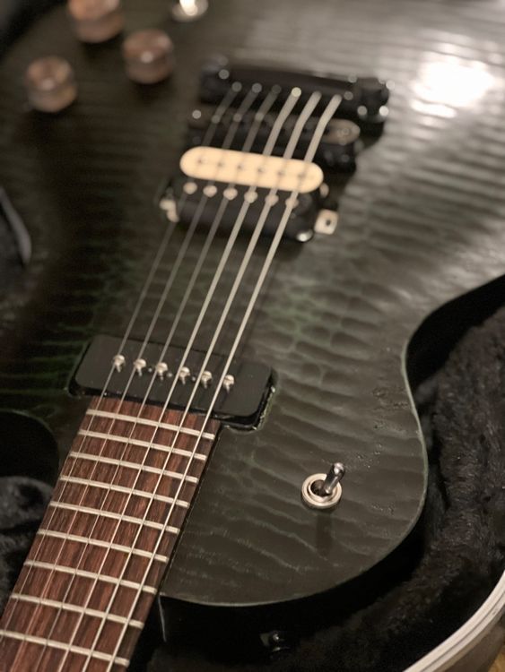 Gibson Les Paul BFG Gator (2011 limited edition) (Gebraucht) in ...