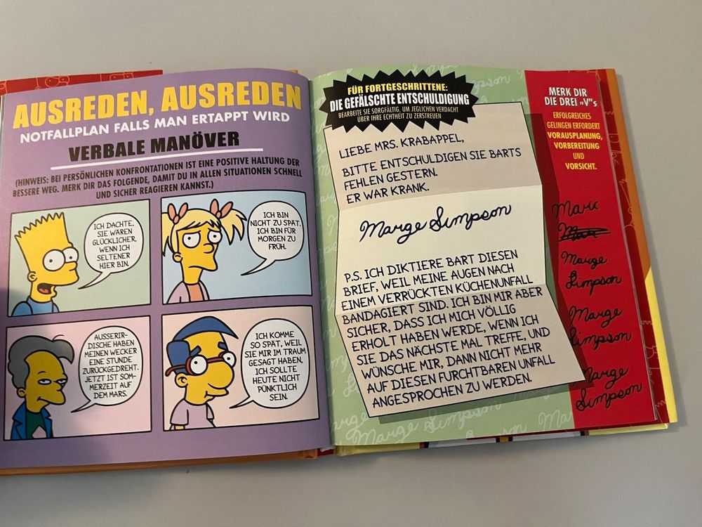 Die Simpsons "Das Bart Buch" (Gebraucht) in Luzern für CHF 5 – mit ...