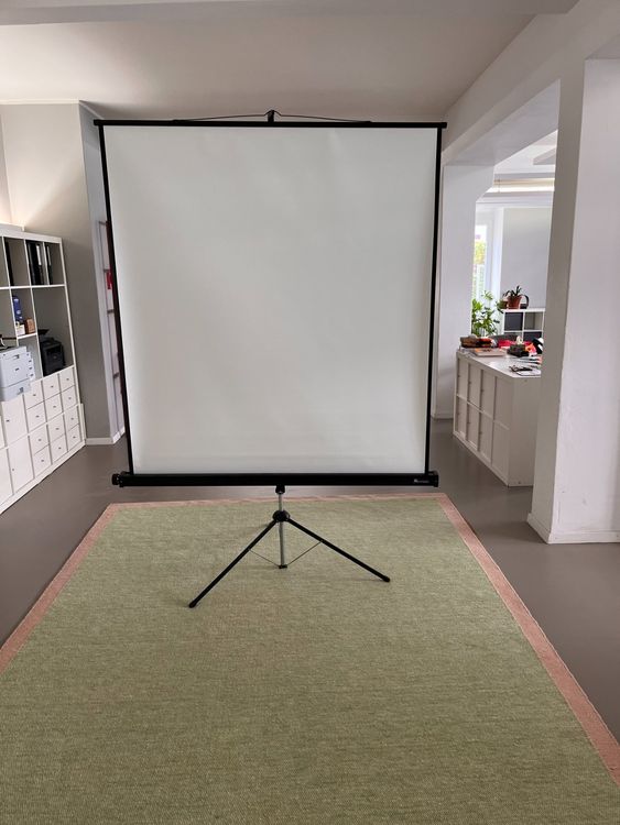 Leinwand für Projektor / Beamer | Kaufen auf Ricardo