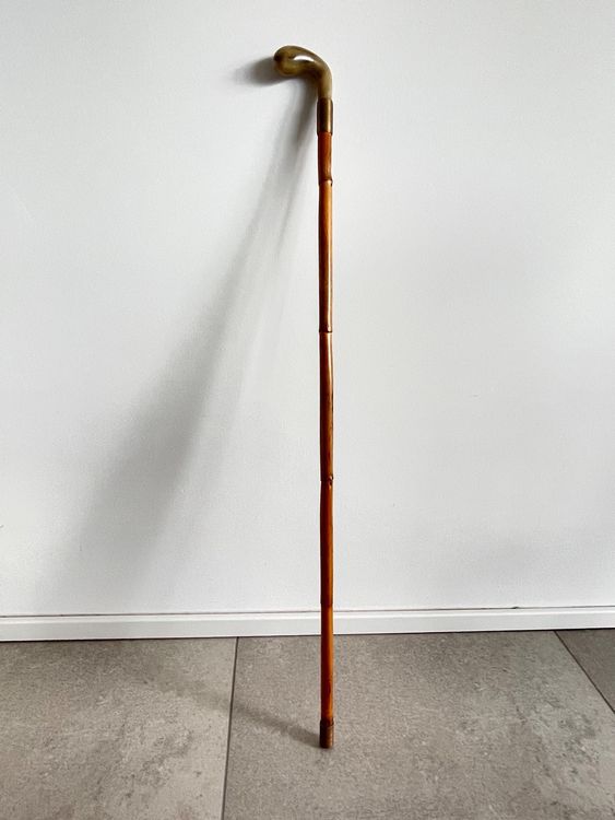 Bastone antico bambù/osso (Gebraucht) in Breganzona für CHF 40 – mit ...