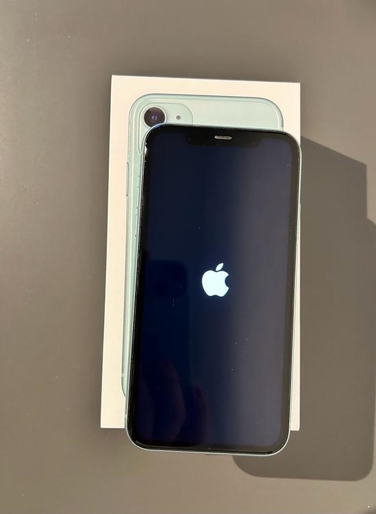 Iphone 11 Grün, 64GB mit OVP | Kaufen auf Ricardo