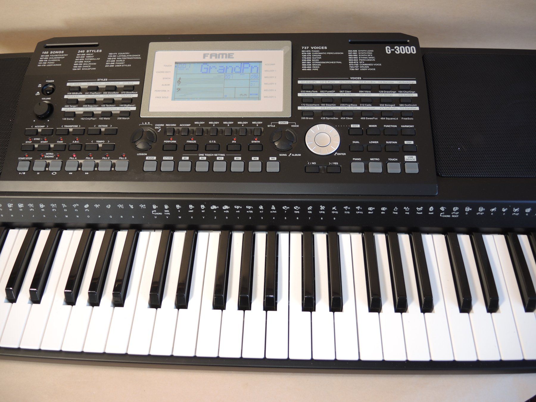 Fame G-3000 Home Keyboard elektrisches E Piano mit Ständer (Gebraucht ...