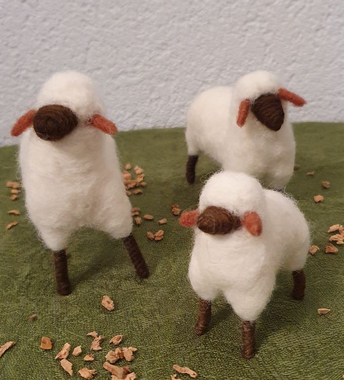 Krippenfiguren Schwarzenberg: 3 Schafe weiss | Kaufen auf Ricardo