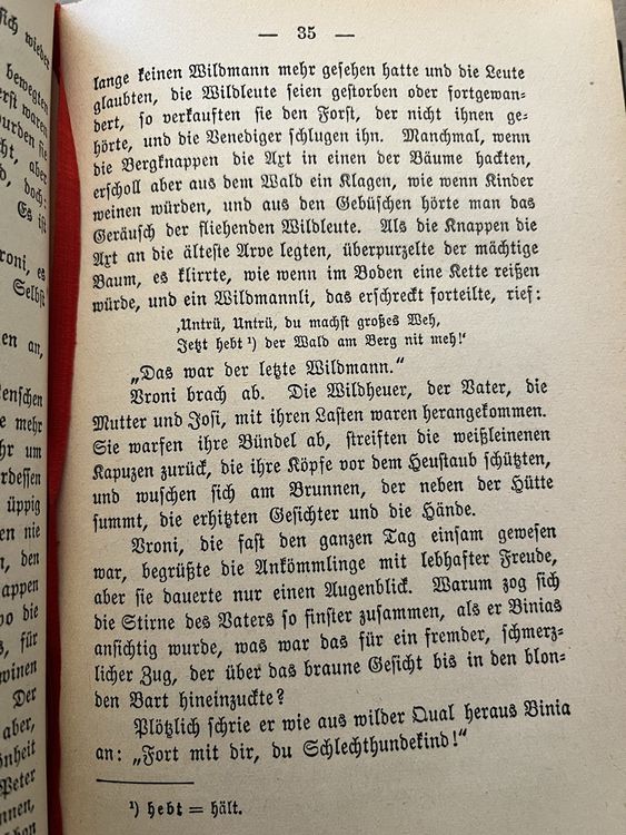 Jakob Christoph Heer - An heiligen Wassern, Roman 1922 (Gebraucht) in ...