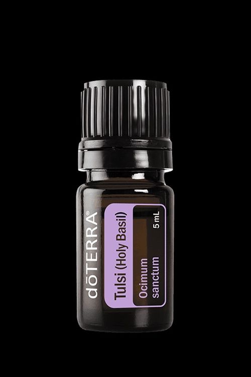doTERRA Tulsi - Heiliger Basilikum Öl 5ml NEU! (Neu und ...