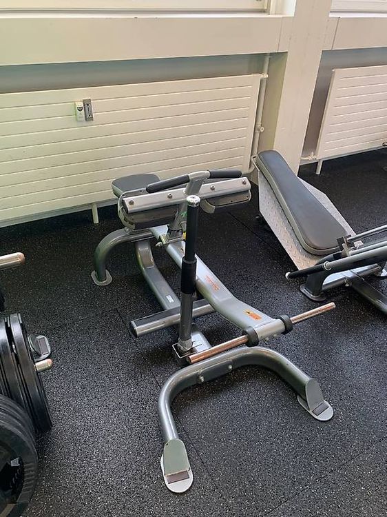 Waden sitzend (Wadenheben) | Kaufen auf Ricardo