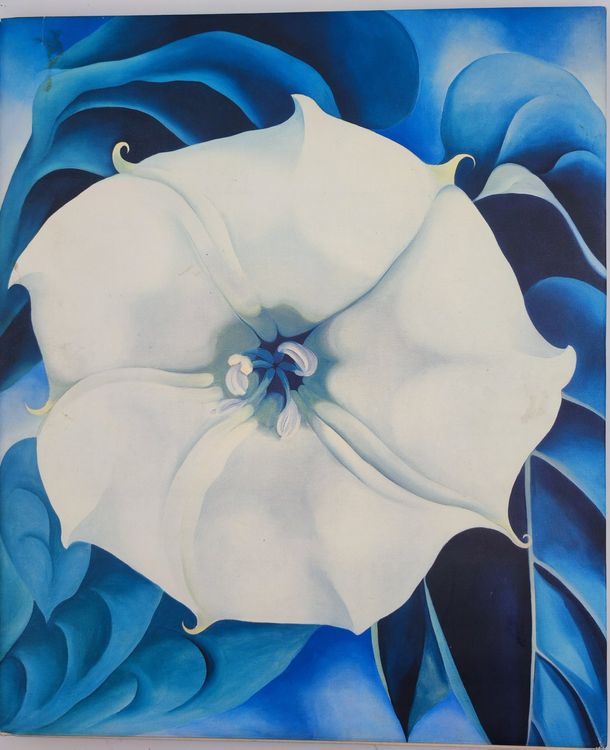 GEORGIA O'KEEFEE (Gebraucht) in Goldach für CHF 75 – mit Lieferung auf ...