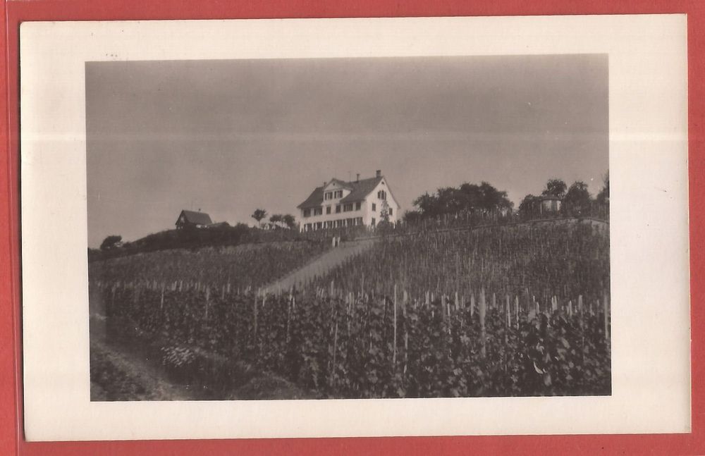 Uerikon bei Stäfa ? - Haus mit Rebberg - Fotokarte 1930 (Gebraucht) in ...