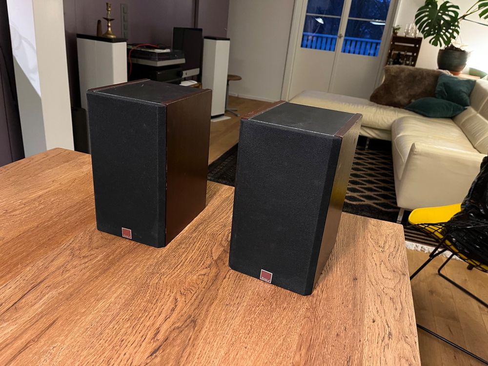 Dali Menuet 150 | Kaufen auf Ricardo