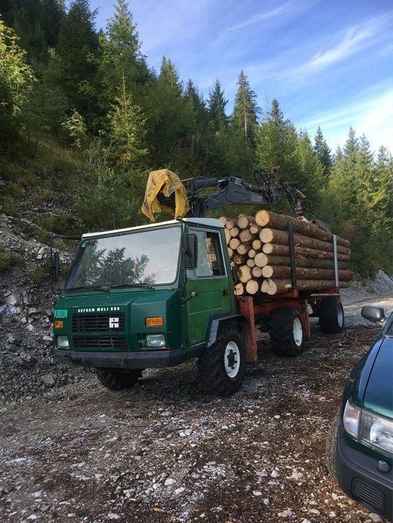 Reform Muli 600F Holztransporter (Gebraucht) in Wimmis für CHF 30000 ...