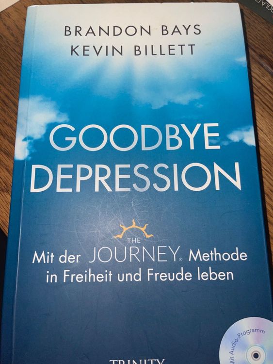 Brandon Bays: Goodbye Depression (1) (Gebraucht) in Teufenthal AG für ...