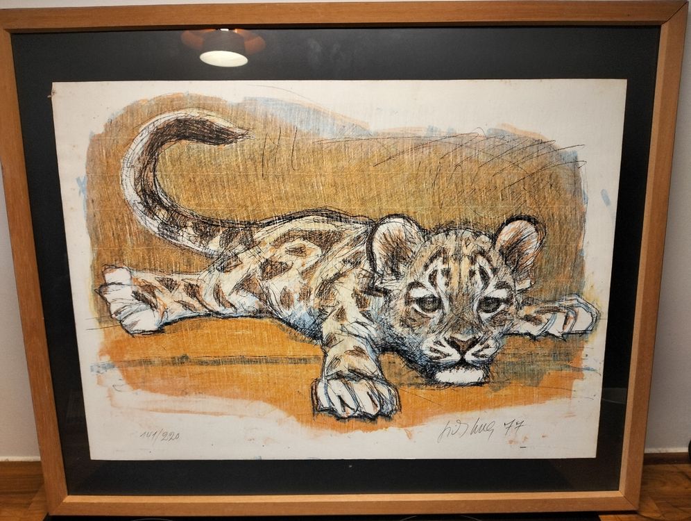Original F. Hug -Lithographie "Schneeleopardes", gerahmt 🐯 (Gebraucht) in Wil SG für CHF 80 ...