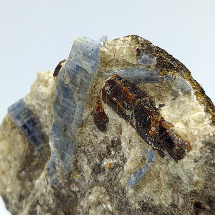BLAUER CYANIT mit STAUROLIT, Schweizer Mineral, Tessin (Nuovo (secondo ...