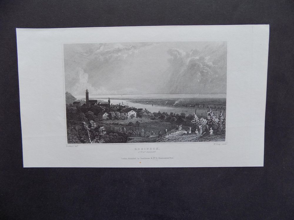 Rheineck (Gebraucht) in Risch für CHF 35 – mit Lieferung auf Ricardo kaufen