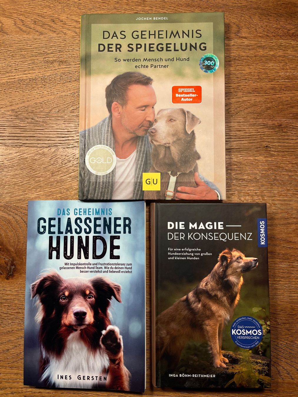 6 Bücher über Hundeerziehung u.a. Martin Rütter, André Vogt (Gebraucht ...