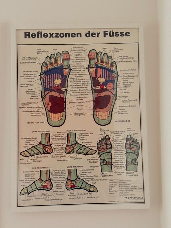 Antikes Reflexzonen-Poster, Fussreflexzonen, Rarität (Gebraucht) in ...