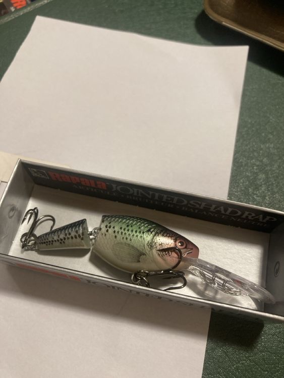 Vintage Rapala JSR-5 SBB Jointed Shad Rap Lure NIB (Neu (gemäss Beschreibung)) in Schwarzsee für ...