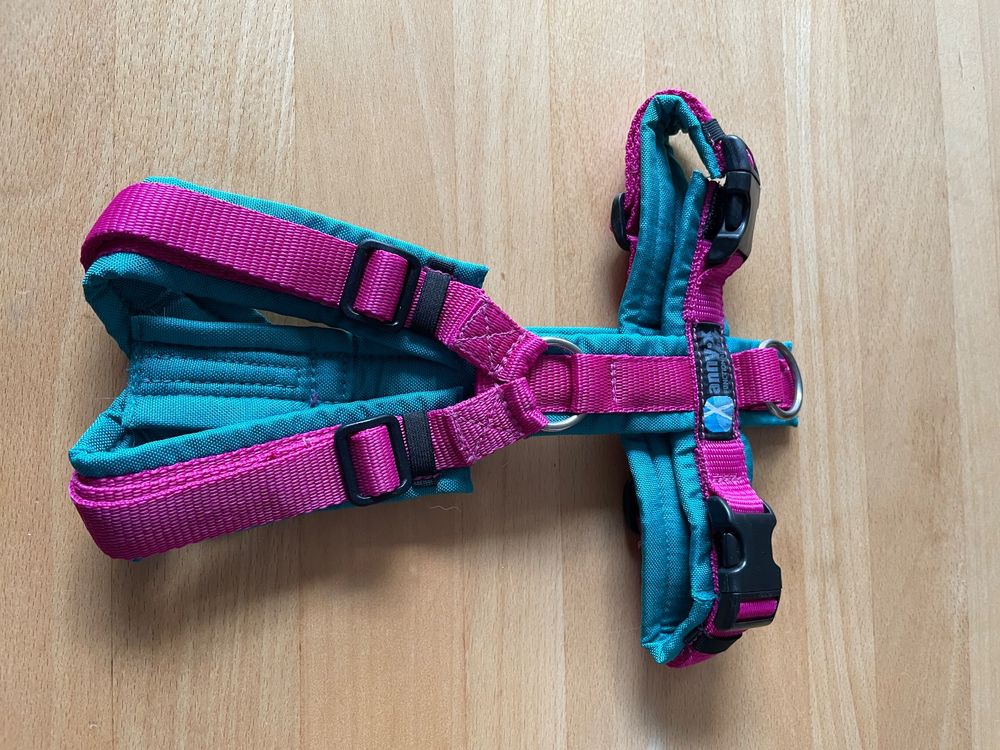 Anny X Geschirr XS (Gebraucht) in für CHF 26 – mit Lieferung auf Ricardo kaufen