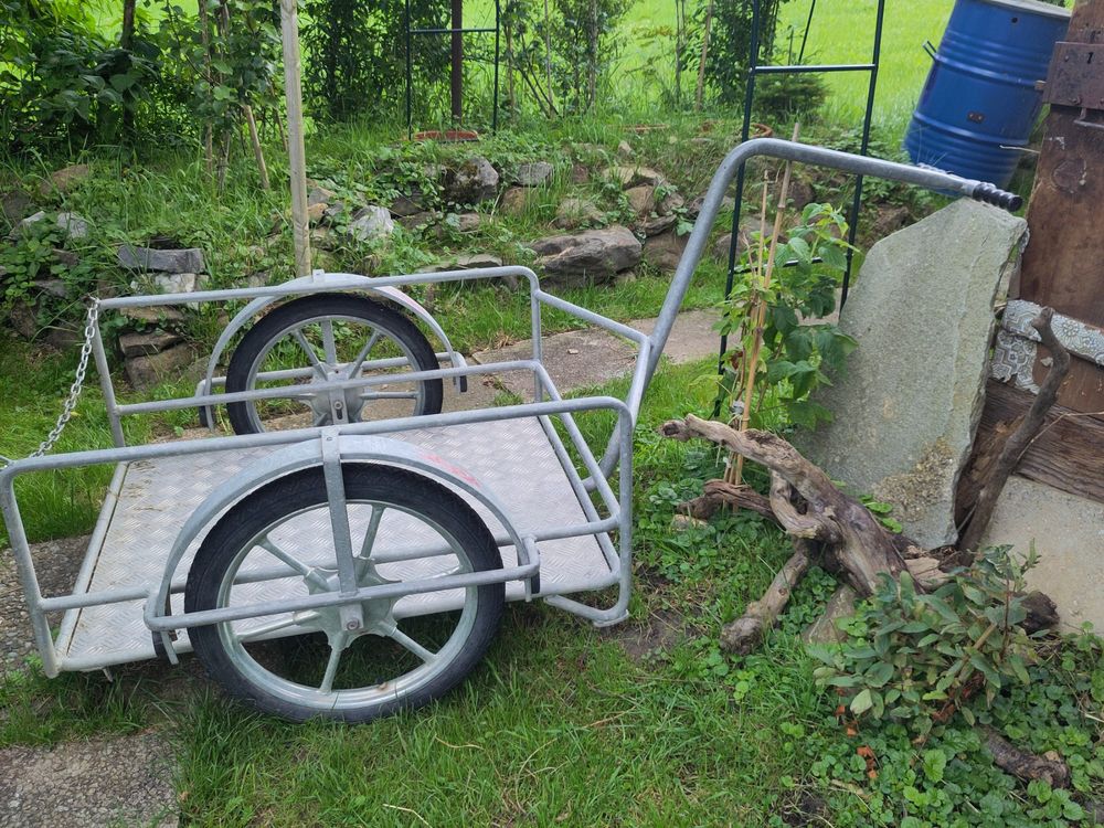 Mofaanhänger Veloanhänger Gross (Gebraucht) in Studen SZ für CHF 51 ...