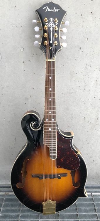 Mandoline Fender (Gebraucht) in Solothurn für CHF 580 – mit Lieferung ...