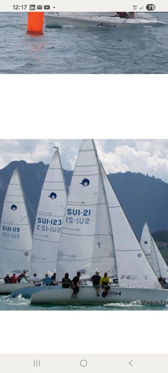Segelboot Dolphin 81 mit Bojenplatz vor Ascona (Gebraucht) in ...