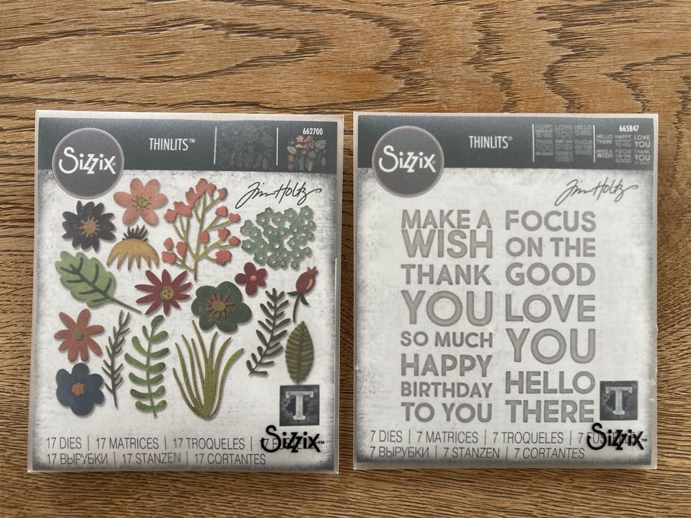 Original Sizzix Tim Holtz Thinlits Stanzformen-Set Nr. 6 (Gebraucht) in ...