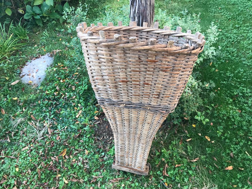 Gerla | Kaufen auf Ricardo