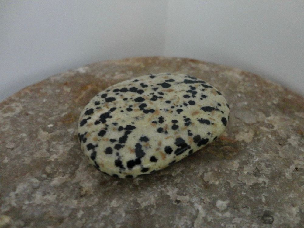 Dalmatiner-Jaspis Heilstein/Handschmeichler (Neu (gemäss Beschreibung)) in Biberist für CHF 5.5 ...