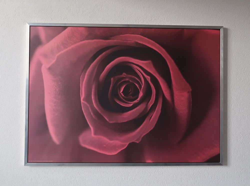 IKEA Bild VILSHULT Rose / Grösse 140 x 100 cm | Kaufen auf Ricardo