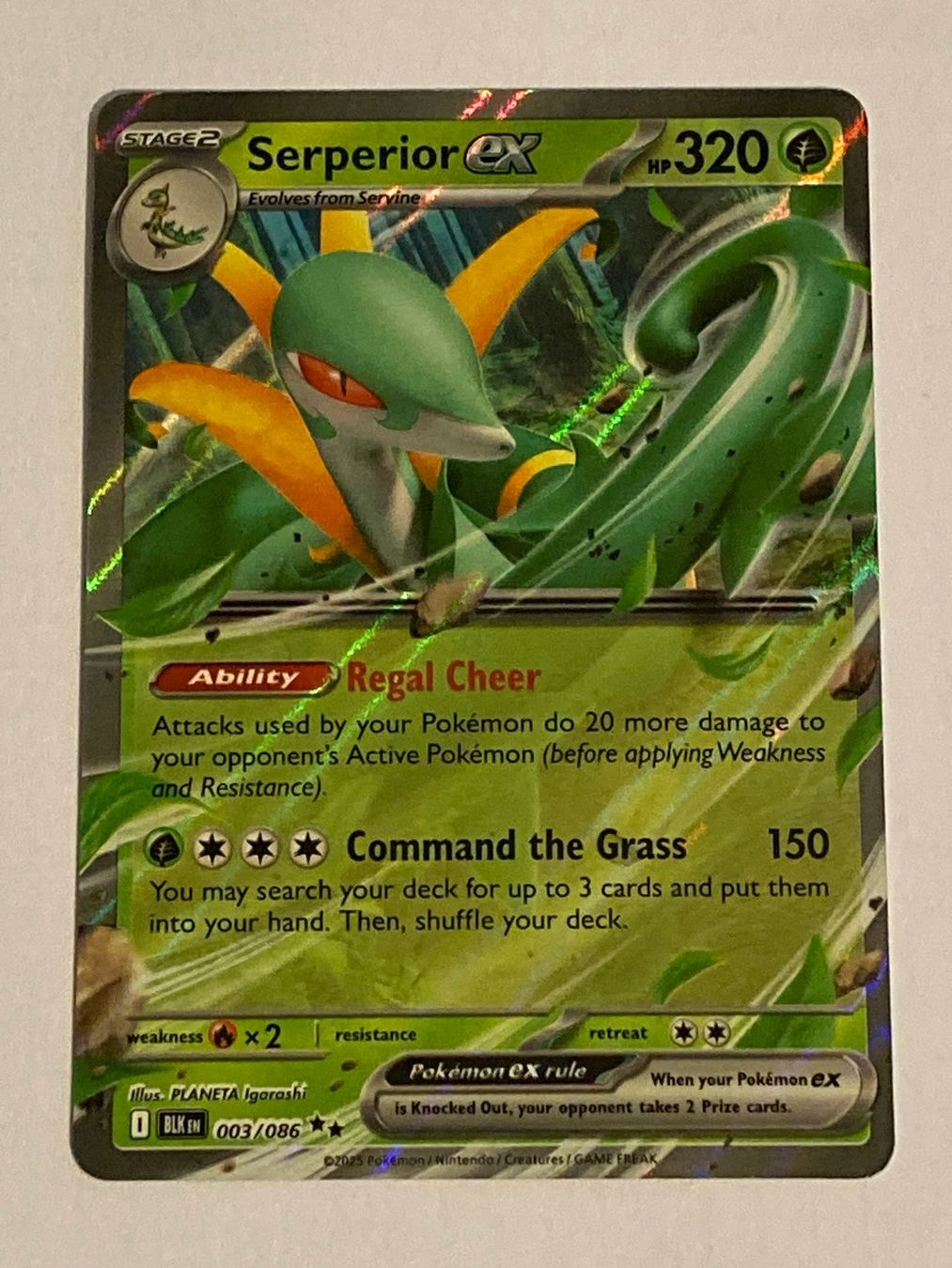 Pokemon BLACK BOLT Serperiot ex 003 / 086 🇬🇧 EN (Neu (gemäss ...