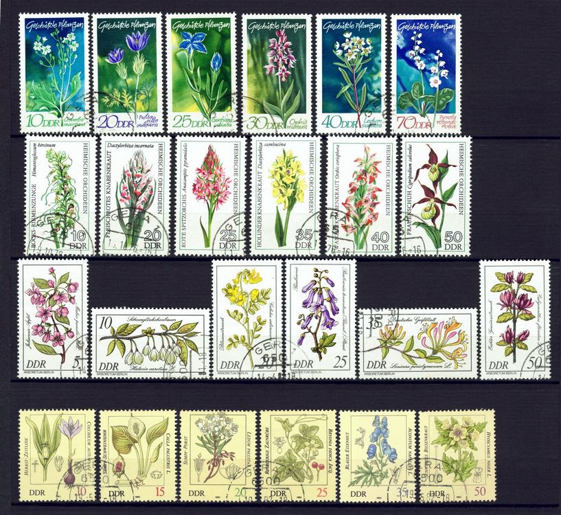 Geschützte Pflanzen schönes Los (Gebraucht) in Basel für CHF 1 – mit Lieferung auf Ricardo kaufen