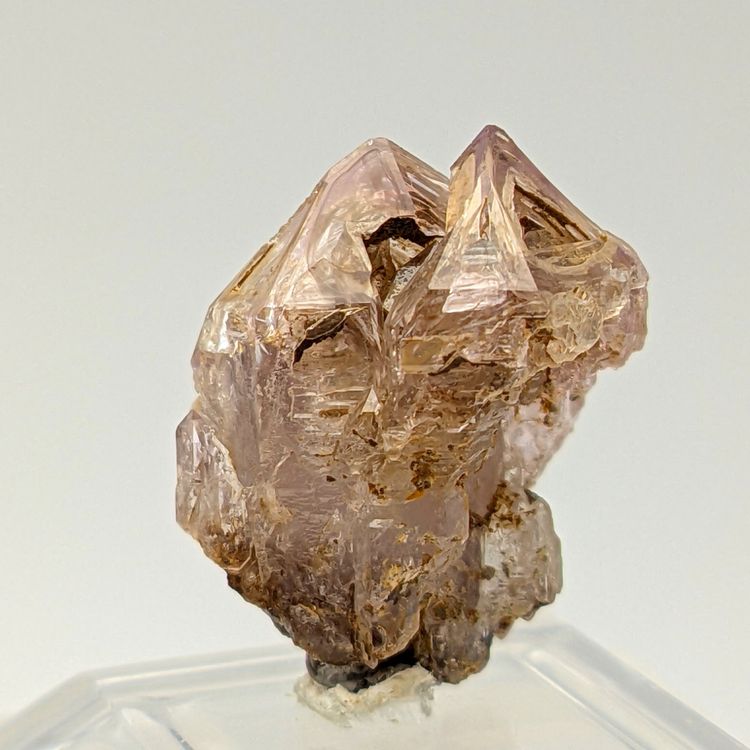 SKELETT- und FENSTER-AMETHYST mit EINSCHLÜSSEN, Sardinien (Nuovo (secondo la descrizione)) a ...