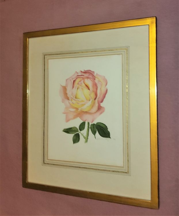 Original-Aquarelle "ROSE" 1979 - Alice Voegeli (1922 - 2016) (Gebraucht ...