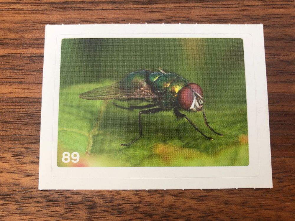 Migros Nature Detectives Mania Nr.89 (Gebraucht) in Wiezikon b.Sirnach ...