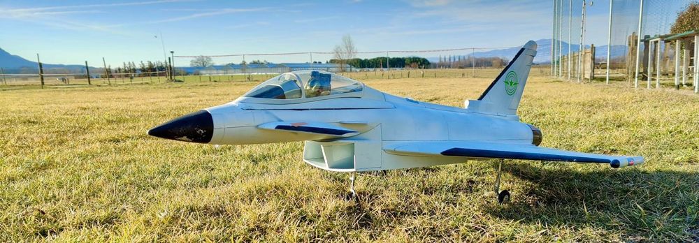 Freewing Eurofighter Jet véctoriel avec canards (Gebraucht) in für CHF ...