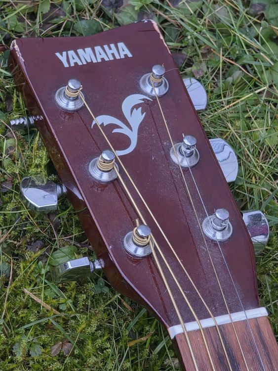 Gitarre YAMAHA „F-310“ (Gebraucht) in Wangen b. Olten für CHF 90 – nur ...