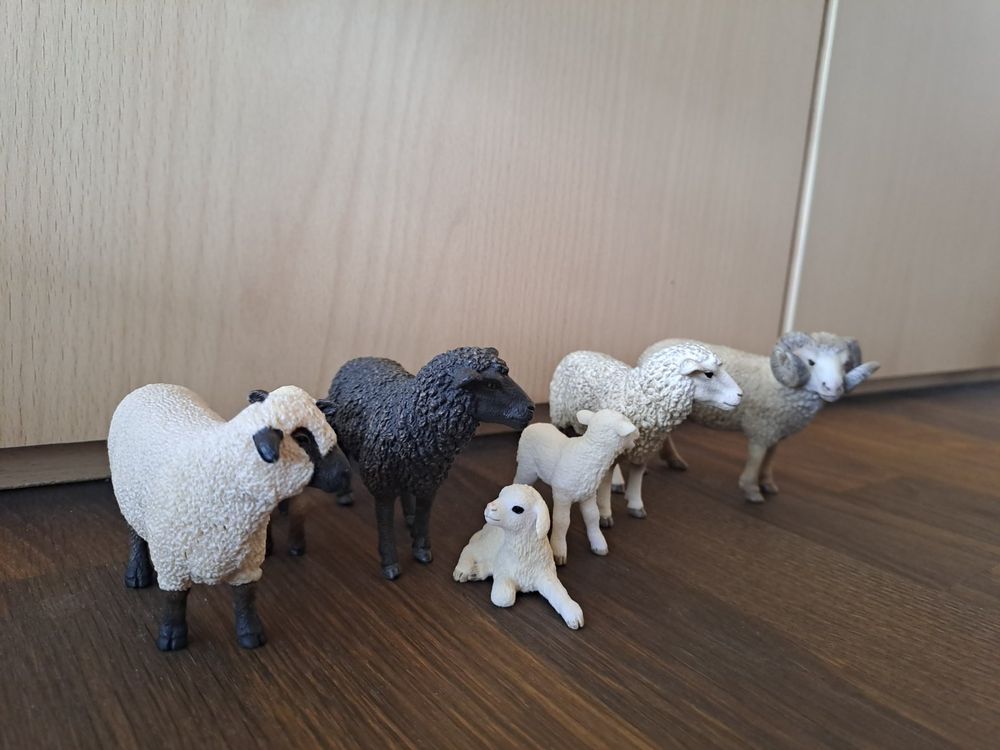 Schleich Schaf Herde (3 Schafe, 1 Schafbock, 3 Lämmer) (Gebraucht) in Suhr für CHF 20 – mit ...