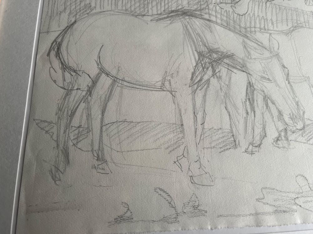 Pferde Bleistiftzeichnung, signiert und gerahmt, 1956, Nr 91 (Gebraucht ...