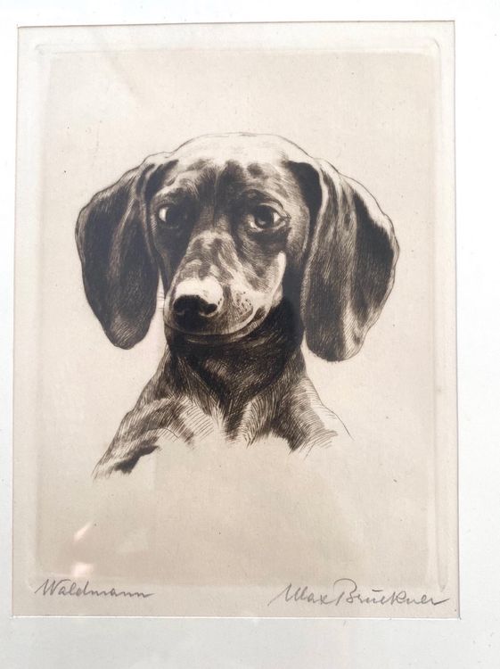 artiste Max Brückner / 1888-1953 / Waldmann / tableau / Bild (Gebraucht ...