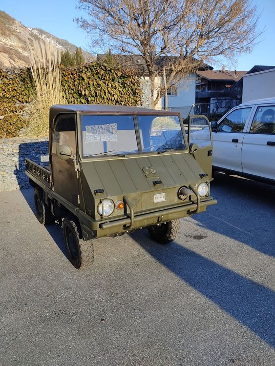Steyr-Puch Haflinger (Gebraucht) in Gampel für CHF 16800 – mit Lieferung auf Ricardo kaufen